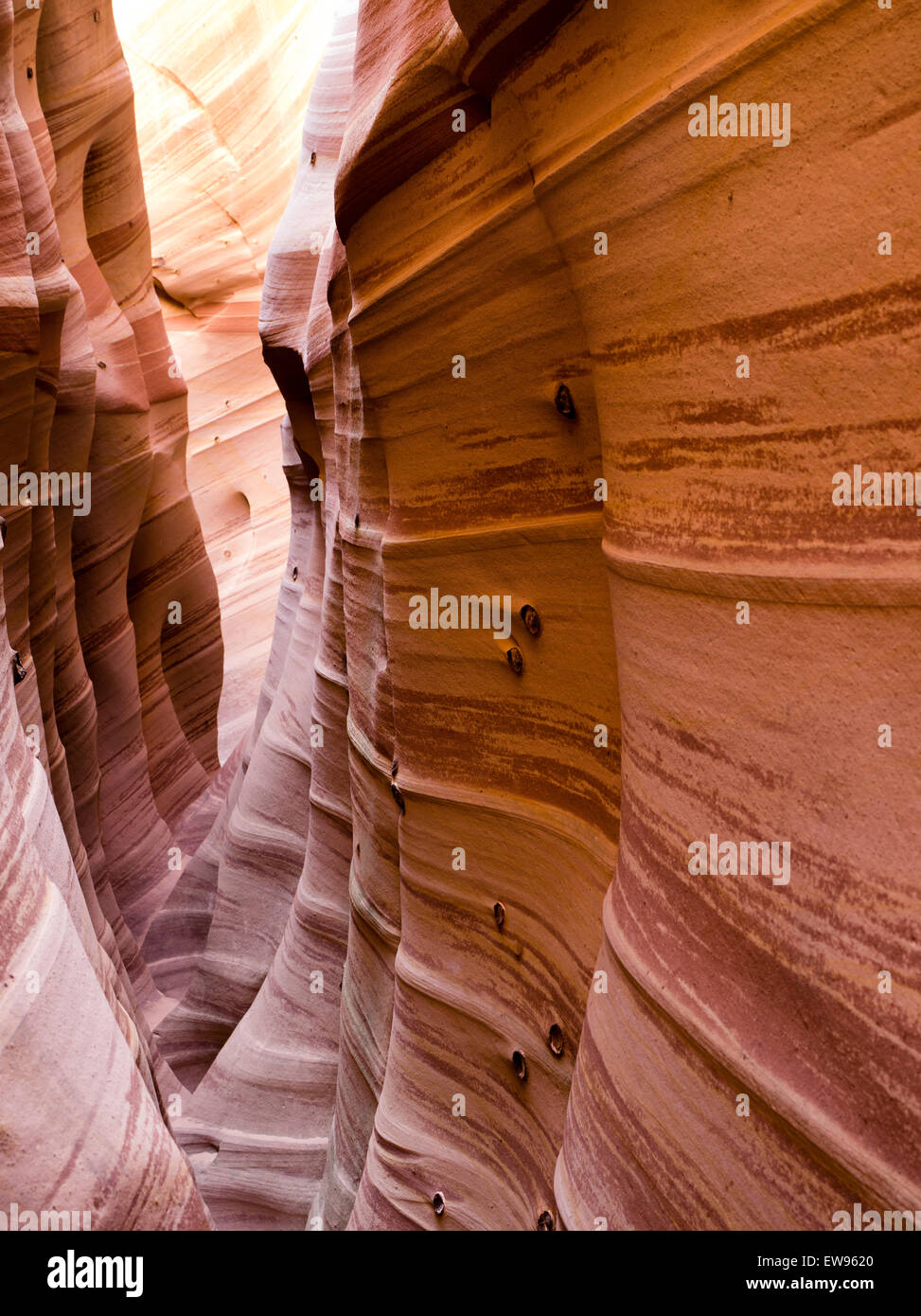 View of the sidewall of Zebra Slot Canyon, along Harris Wash, Grand ...