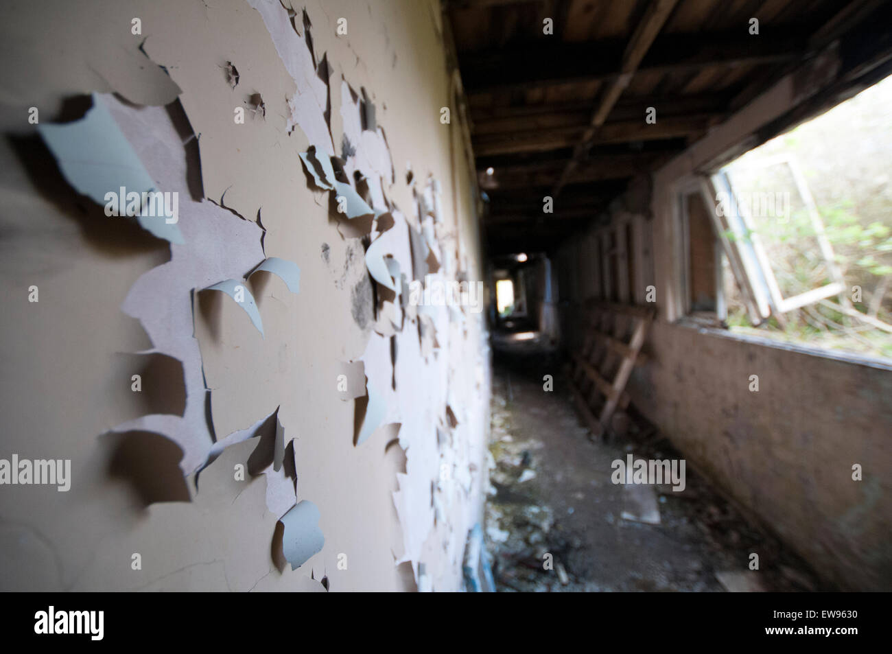 Nocton Hall in Lincolnshire, England UK Stock Photo - Alamy