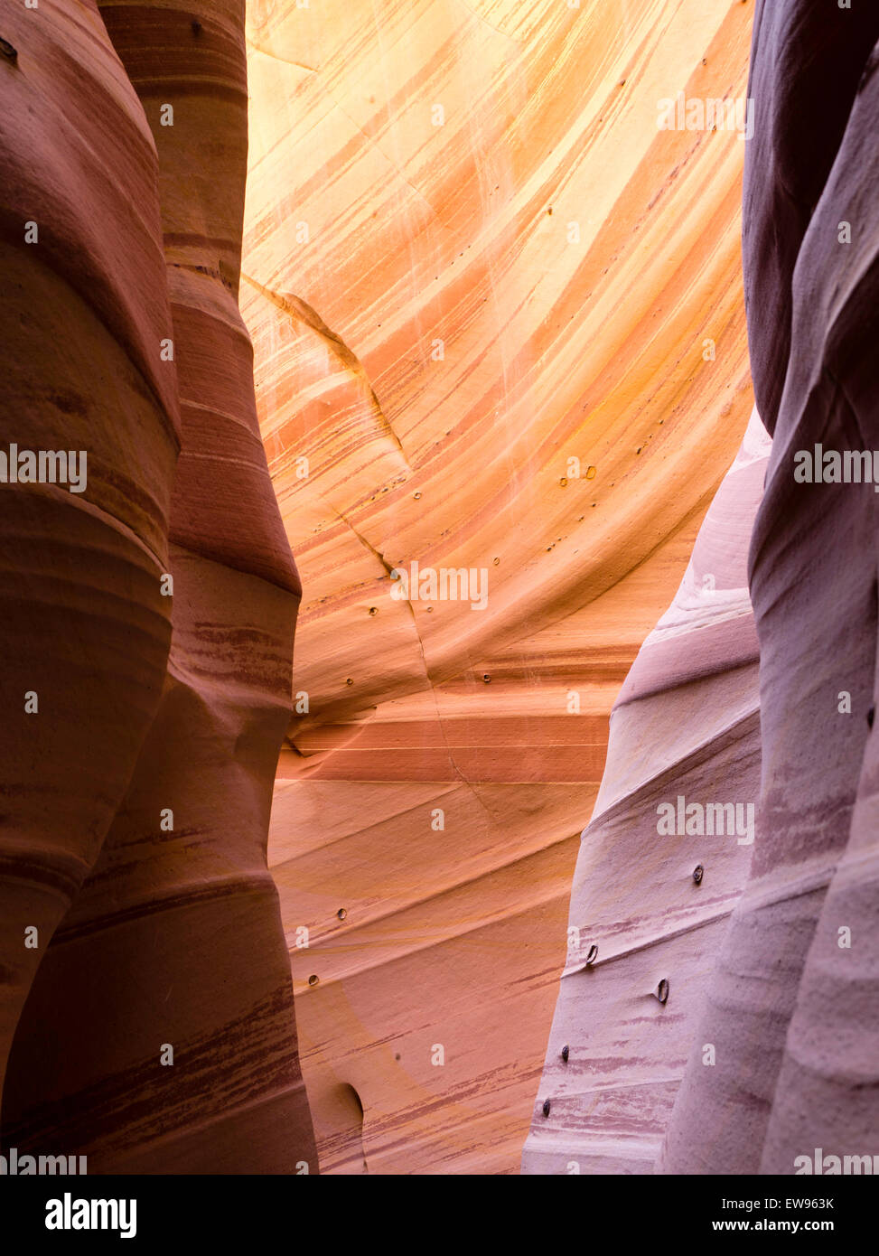 View of the sidewall of Zebra Slot Canyon, along Harris Wash, Grand ...