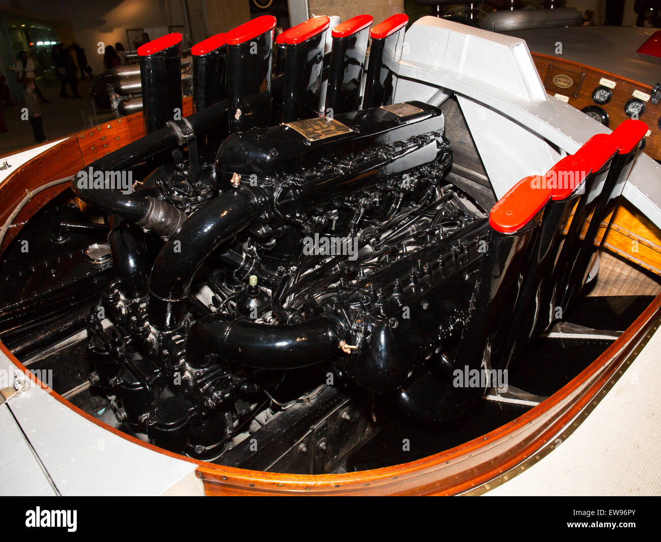 Napier Lion High Resolution Stock Photography and Images - Alamy