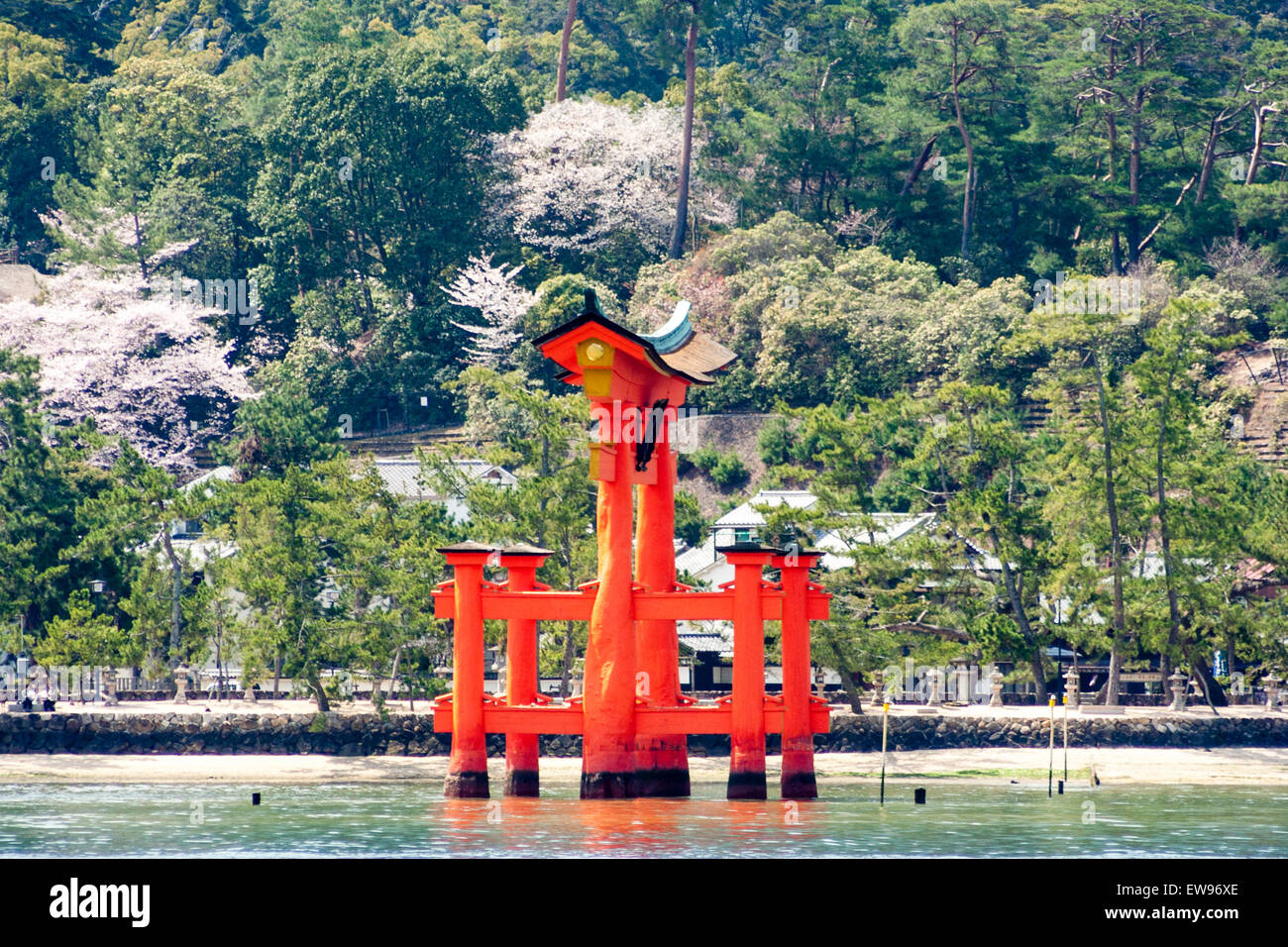 The most iconic Japanese sight, the Great Torii on Miyajima Island ...