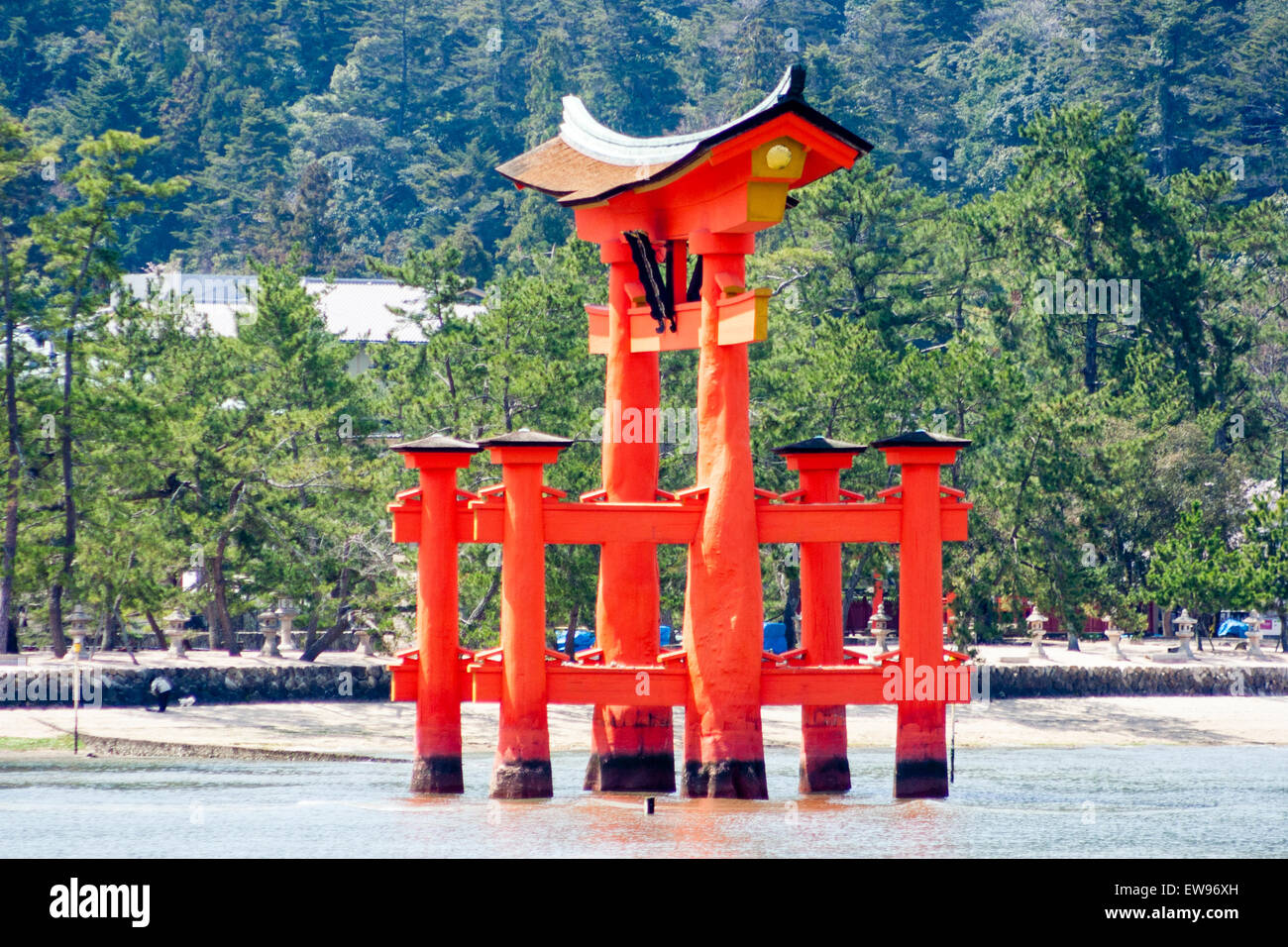 The most iconic Japanese sight, the Great Torii on Miyajima Island ...
