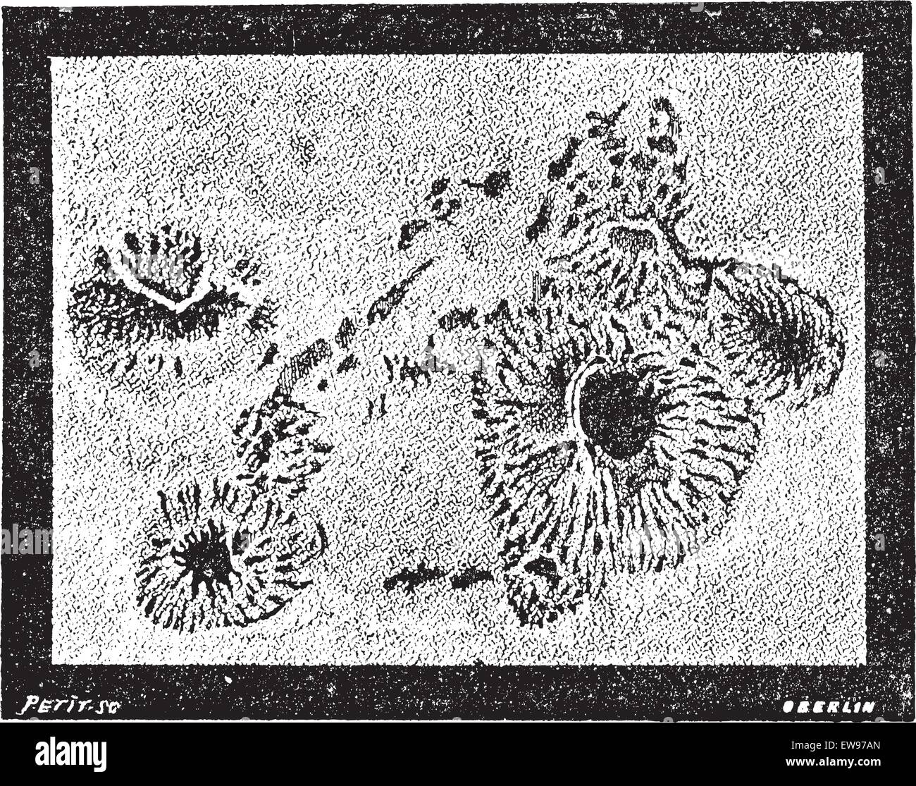 Sunspots Stock Vector Images - Alamy