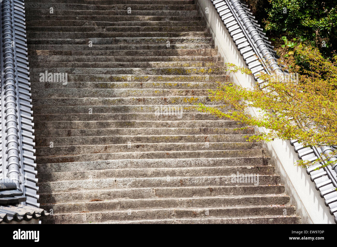 Long flight stairs hi-res stock photography and images - Alamy