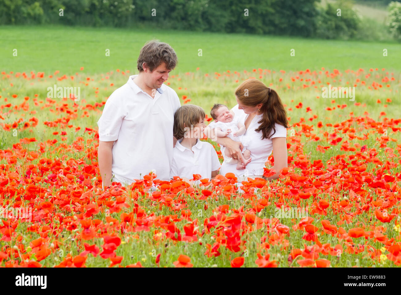Beautiful family of four standing in a gorgeous poppy flower field ...