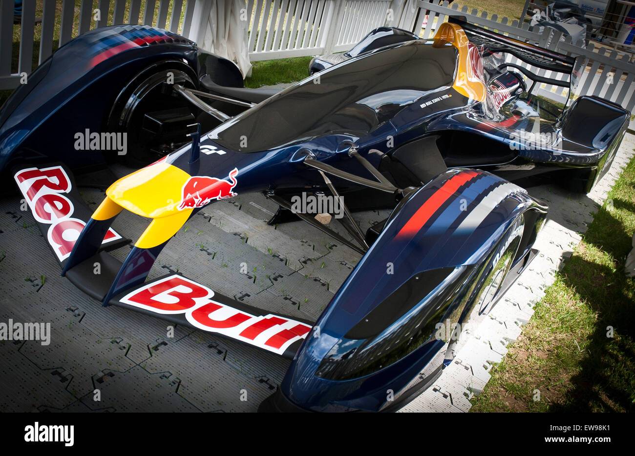 The Red Bull X2010, a futuristic racing car, was showcased at the 2011 ...