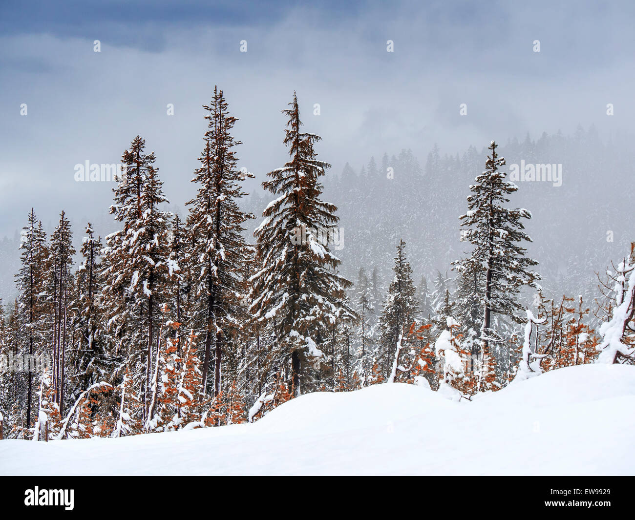 Oregon old new hi-res stock photography and images - Alamy