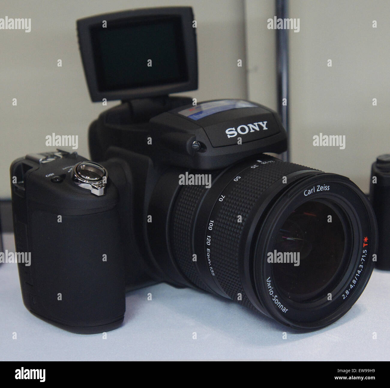The Sony Cyber-shot DSC-R1, released in 2011, is a compact digital ...