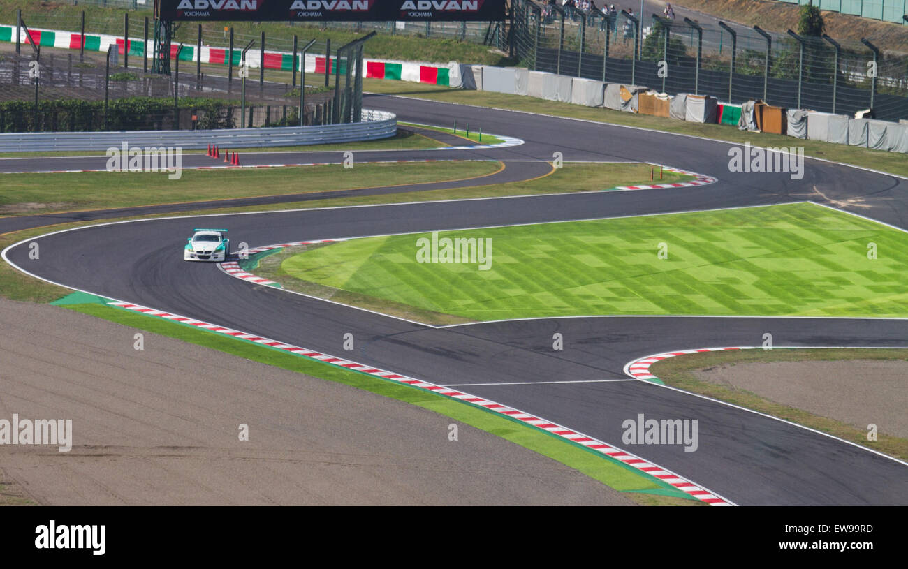 The 2011 Super Taikyu Suzuka 300km race featured the Suzuka Circuit ...