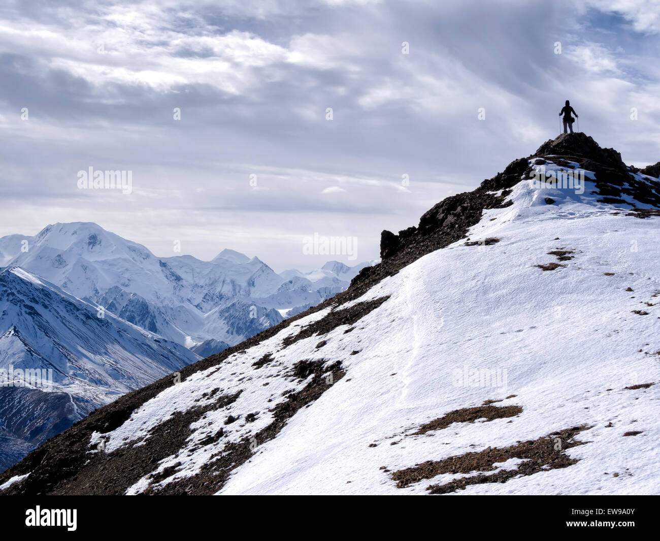 Alaska Hiker - near Denali National Park Stock Photo - Alamy