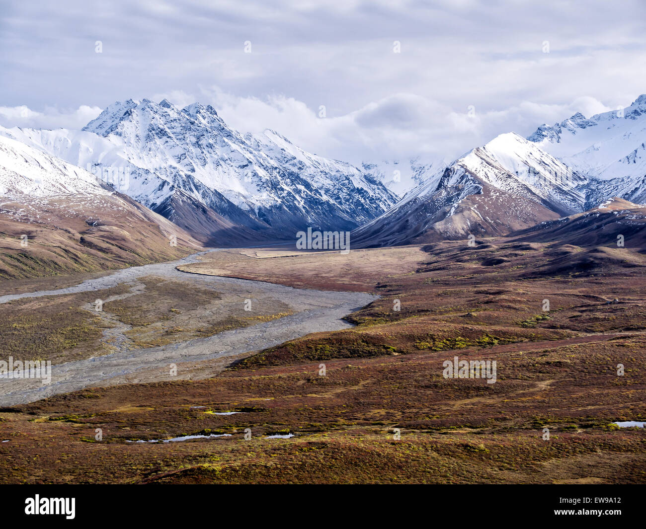 Alaska denali glacier hi-res stock photography and images - Alamy