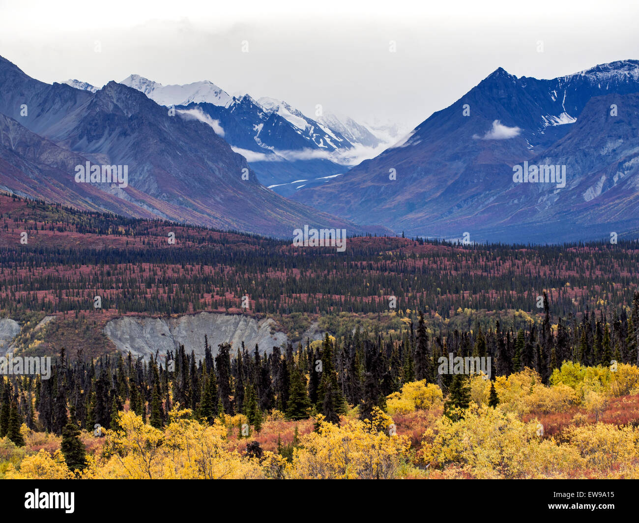 Alaska Autumn color so splendid Stock Photo - Alamy