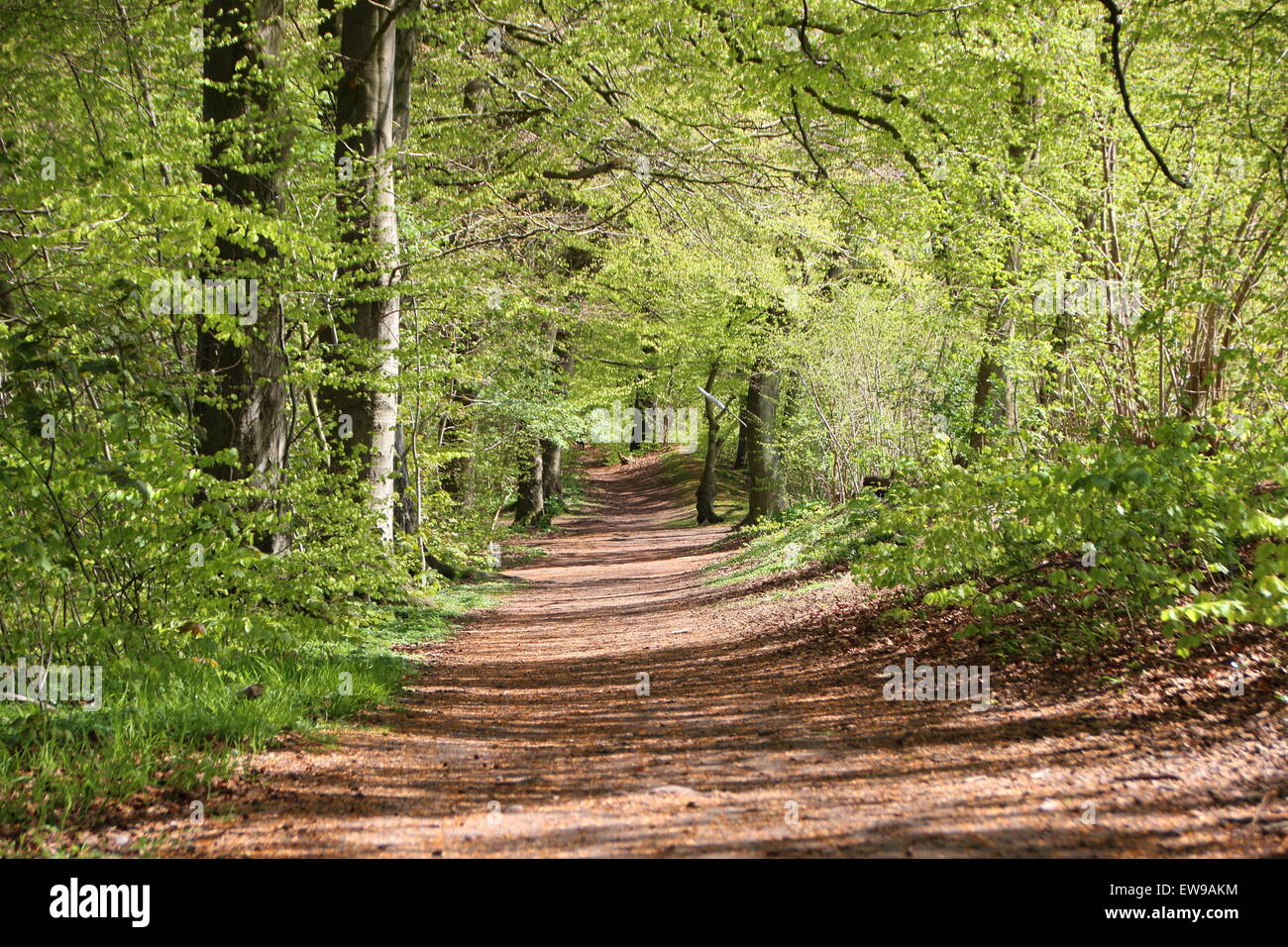 Small walk path hi-res stock photography and images - Alamy