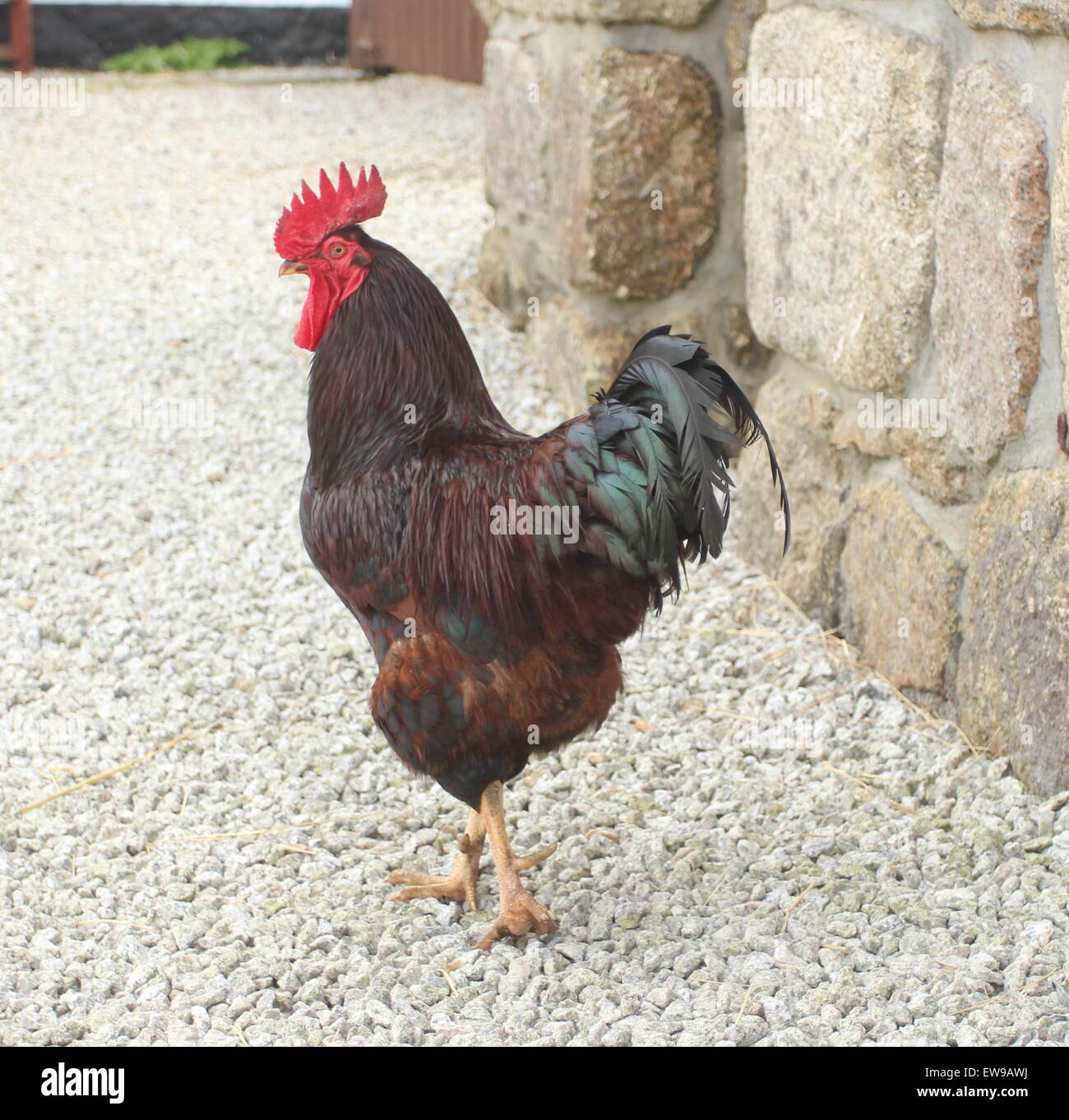 Cornwall outline hi-res stock photography and images - Alamy