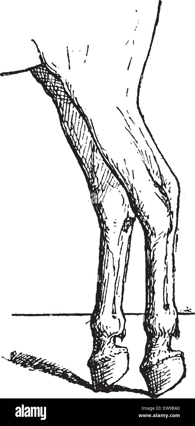 Ready stance Stock Vector Images - Alamy