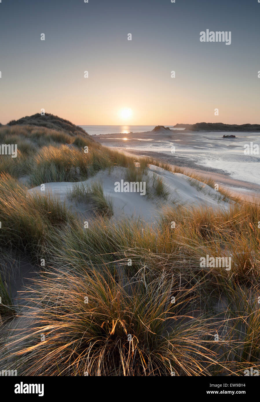 Braunton burrows hi-res stock photography and images - Alamy