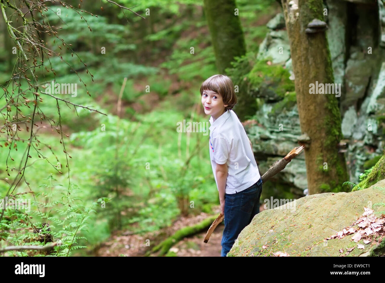 Cute boy playing on the rocks near a scenic waterfall Stock Photo - Alamy