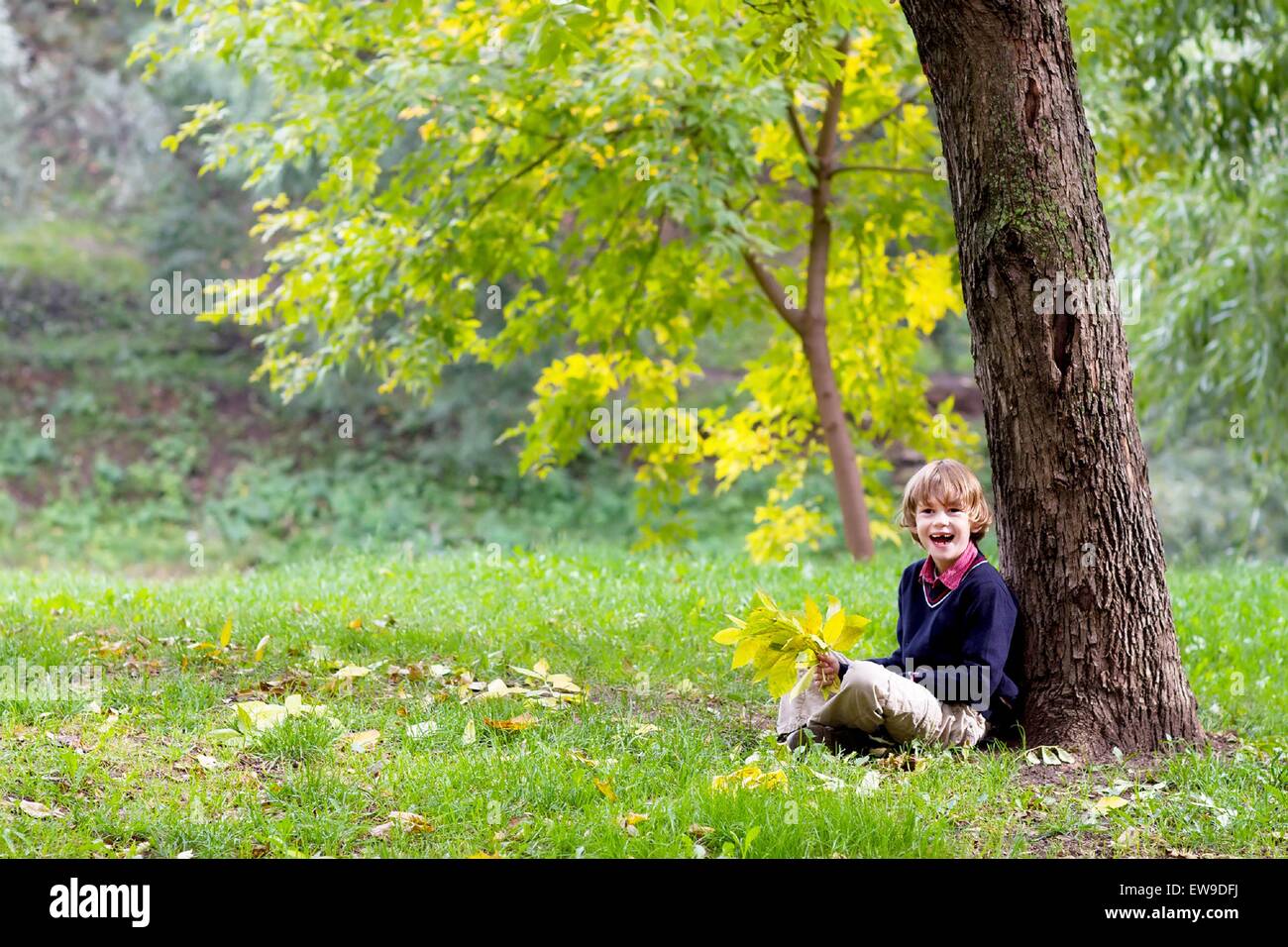 Little school boy sitting under a colorful autumn tree Stock Photo - Alamy