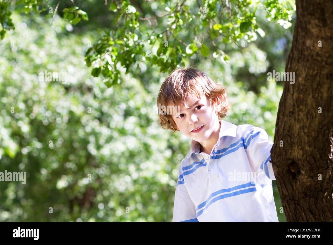 Little boy playing under a big tree on a sunny day Stock Photo - Alamy