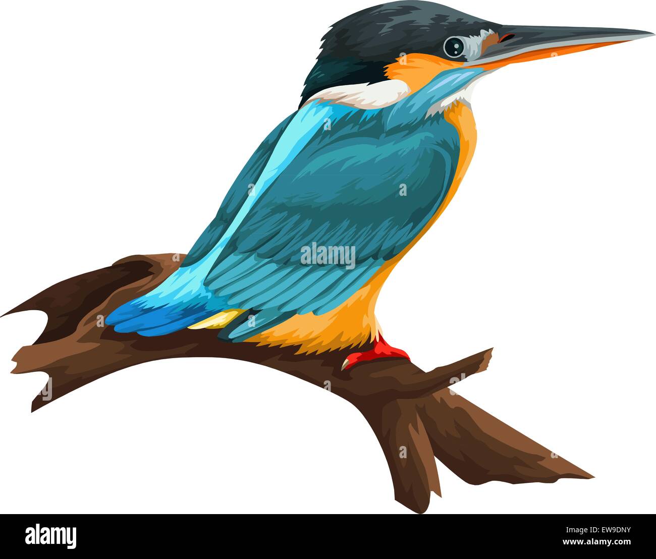 Perching branch bird avian animal Stock Vector Images - Alamy