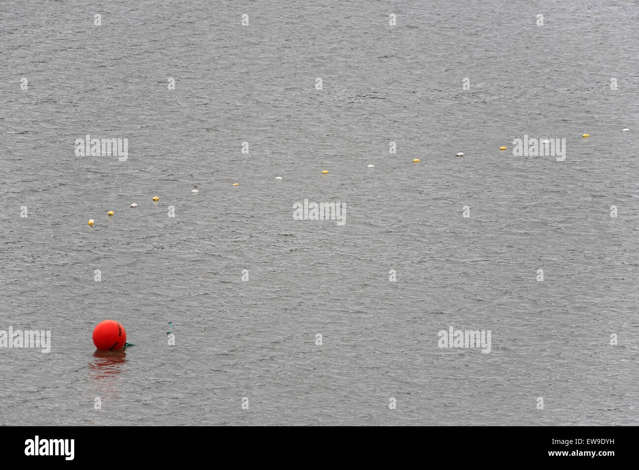 Gillnet floating in water, Inverness passage near Port Edward, BC Stock ...