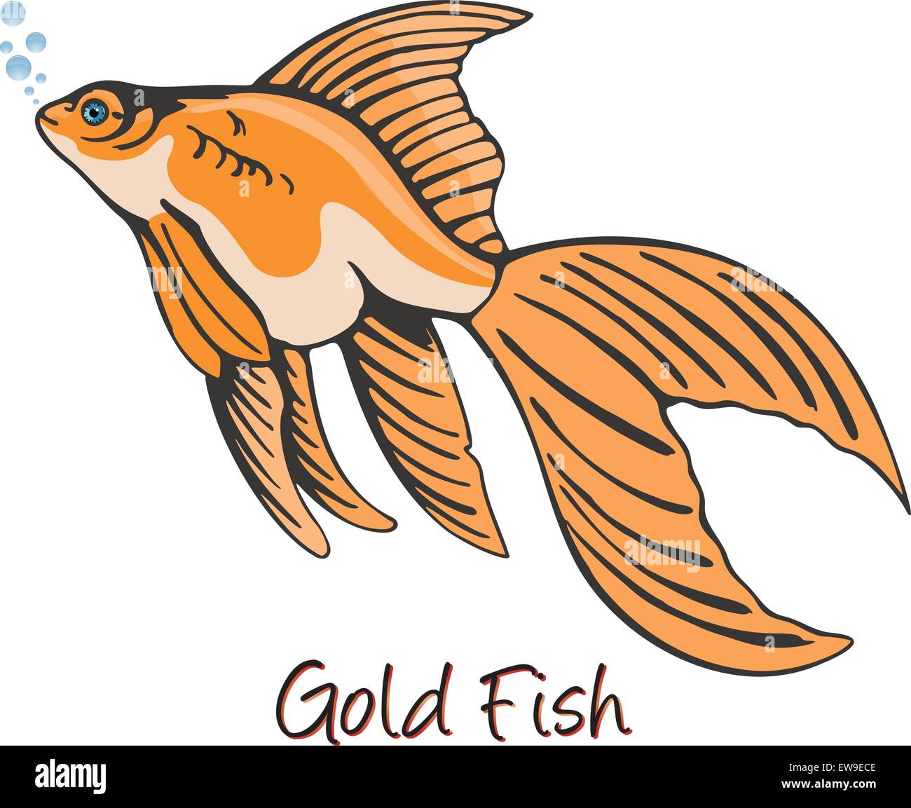 Goldfish, Color Illustration Stock Vector Image & Art - Alamy
