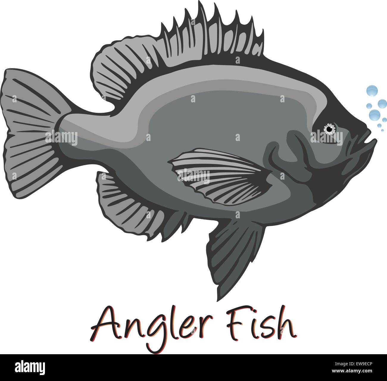 Anglerfish, Color Illustration Stock Vector Image & Art - Alamy