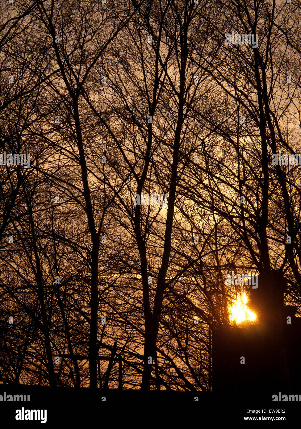 Building and environment hi-res stock photography and images - Alamy