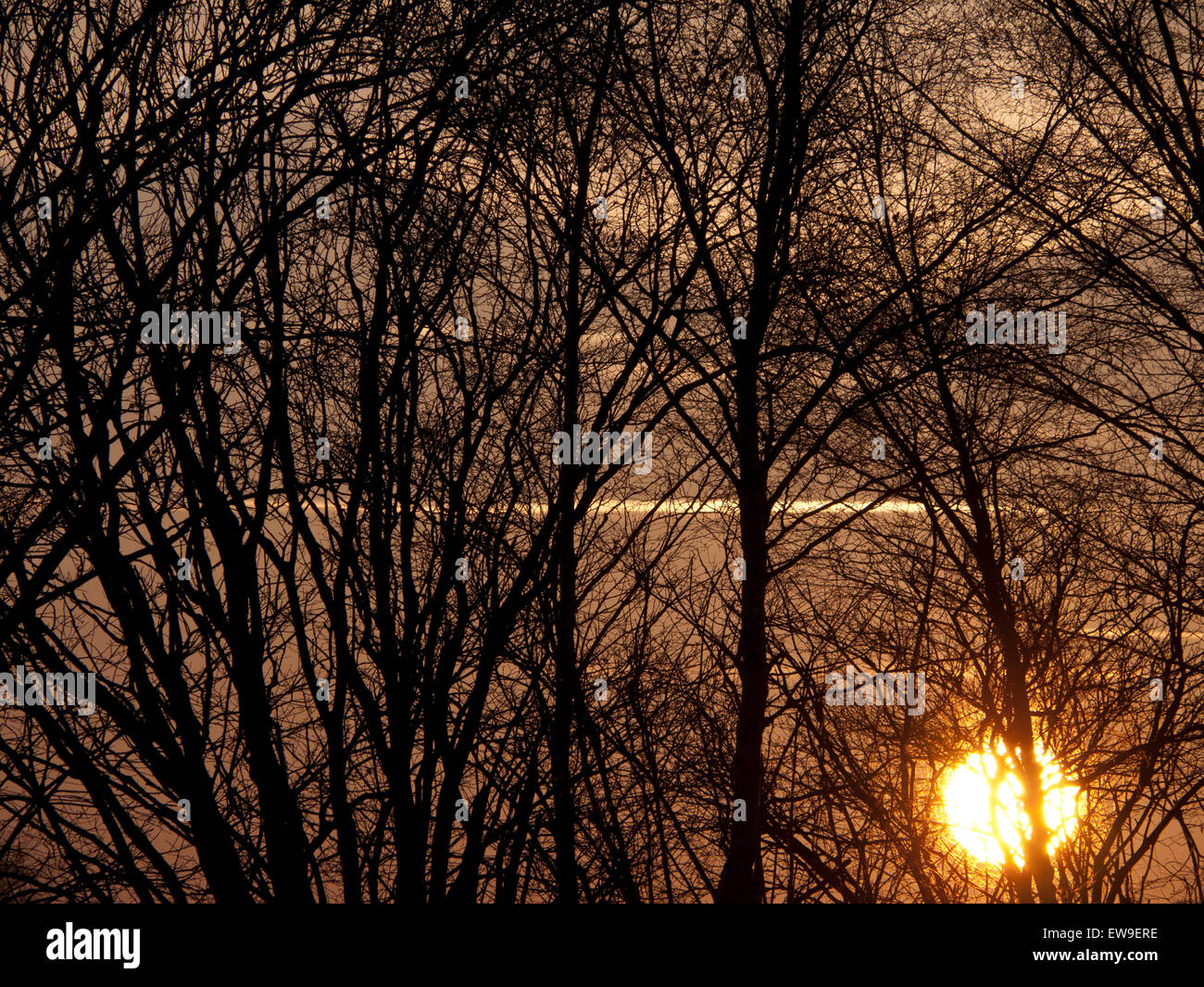 Environmental setting hi-res stock photography and images - Alamy