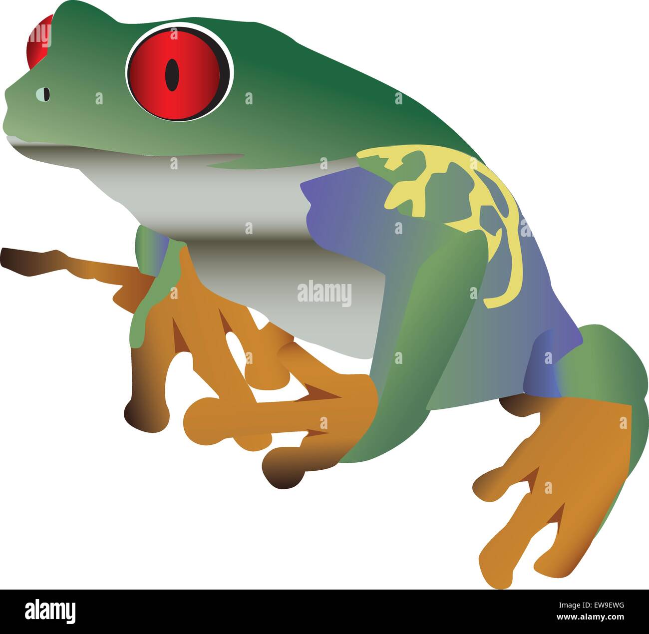 Frog eyed Stock Vector Images - Alamy