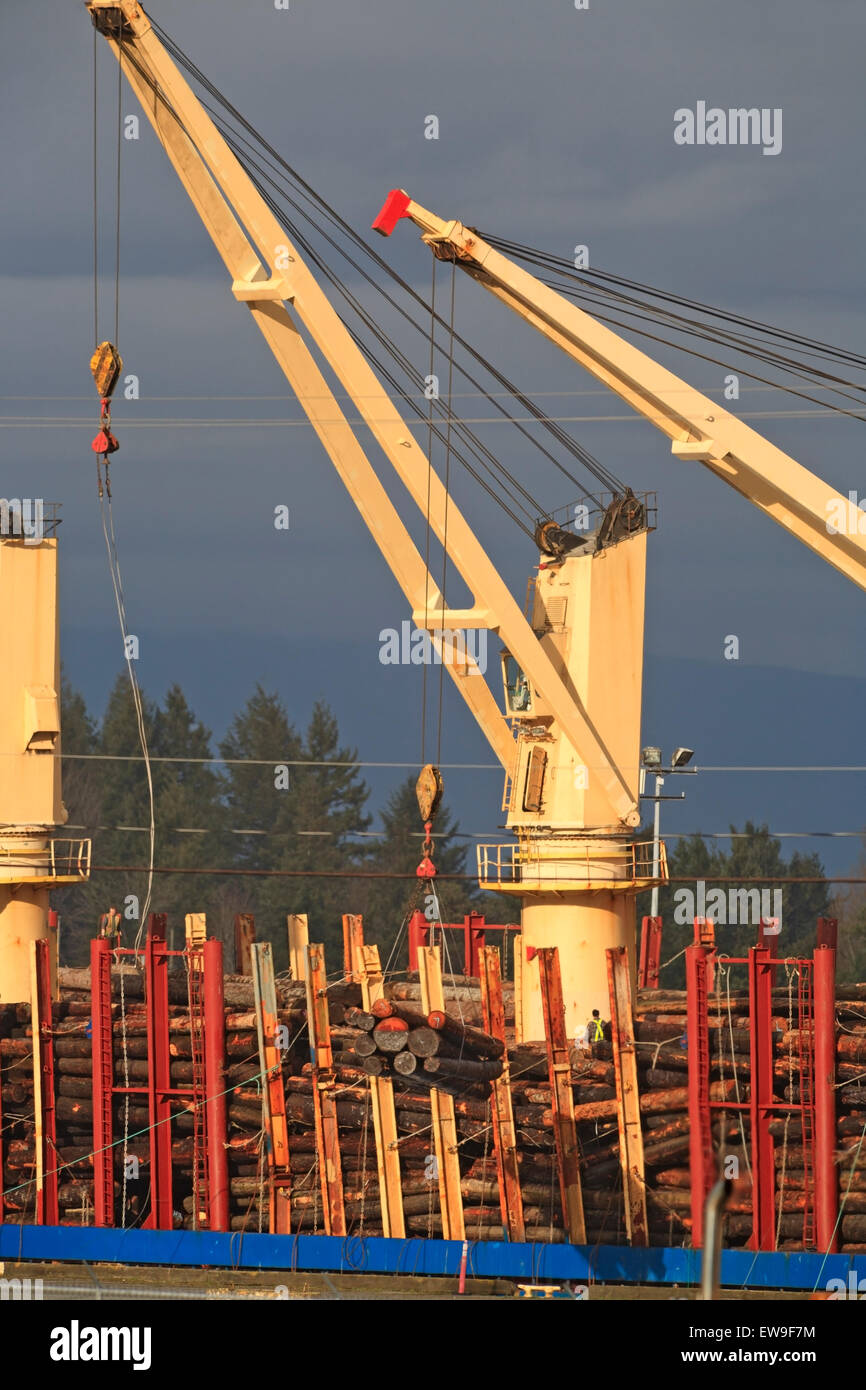 Loading raw logs onto freighter, Nanaimo harbour, Vancouver Island ...