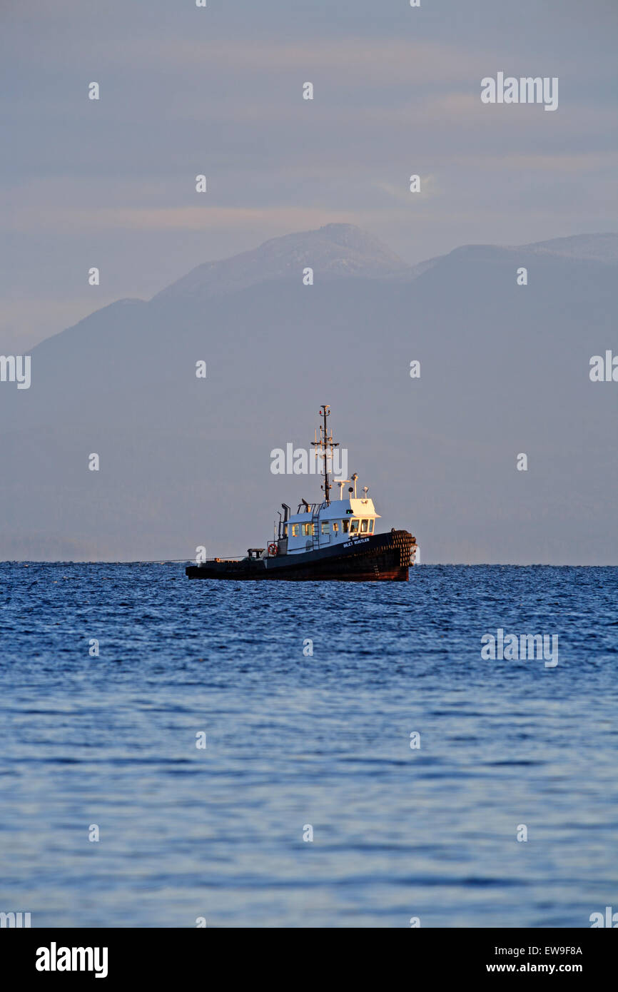 Tugboat pulling log boom in Georgia Strait north of Nanaimo, BC Stock ...