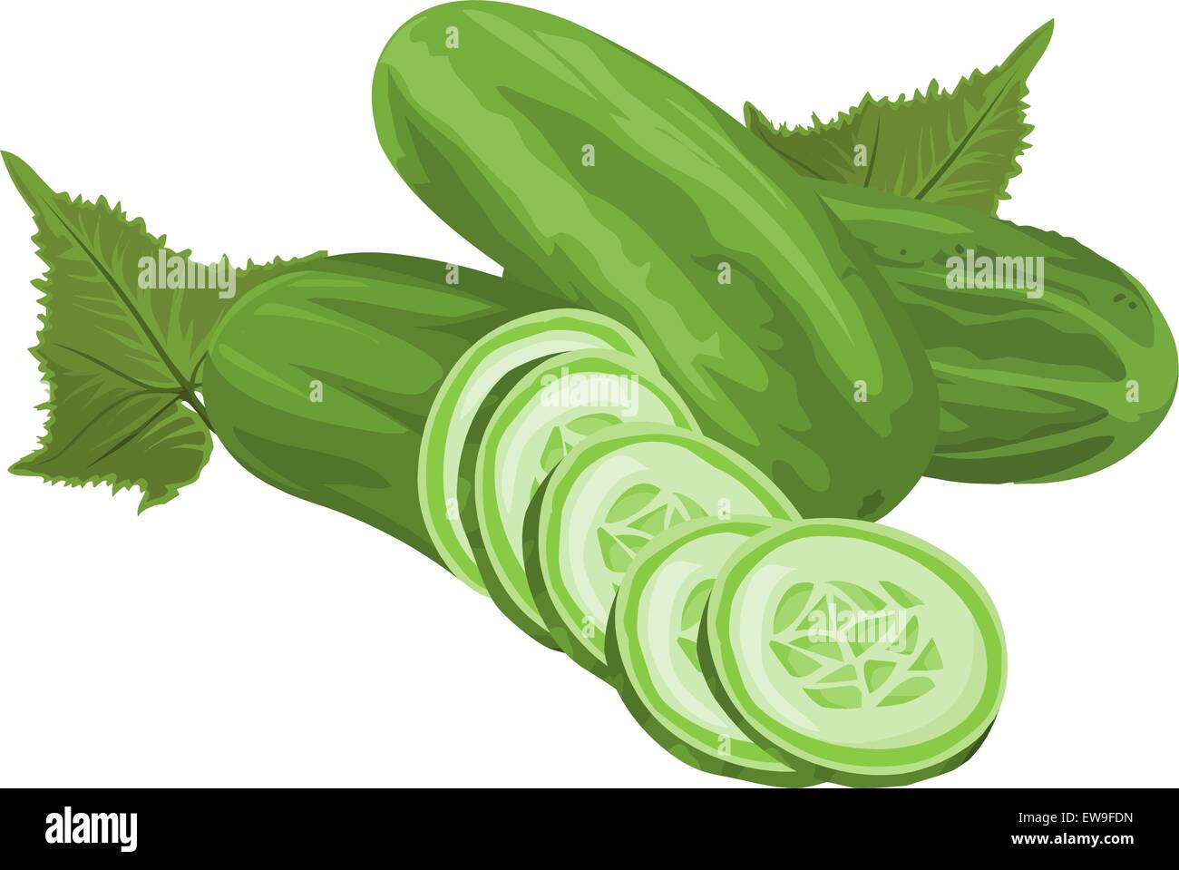 Vector illustration of whole and sliced cucumber Stock Vector Image ...