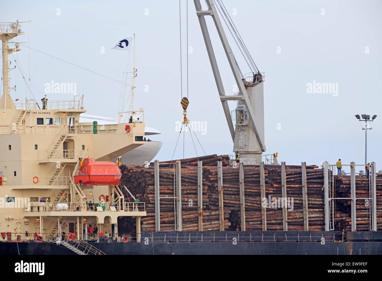 'Diamond Ocean' freighter loading raw logs in Nanaimo harbour ...
