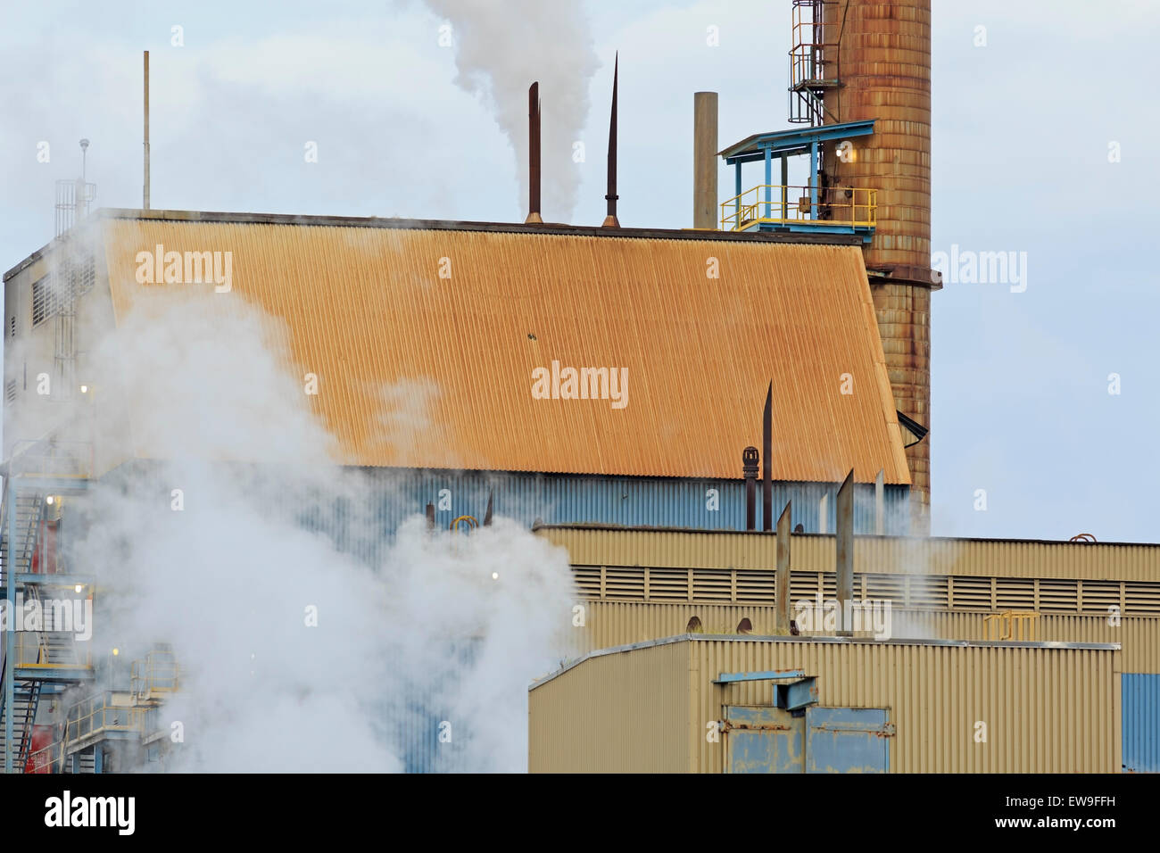 Catalyst pulp mill hi-res stock photography and images - Alamy