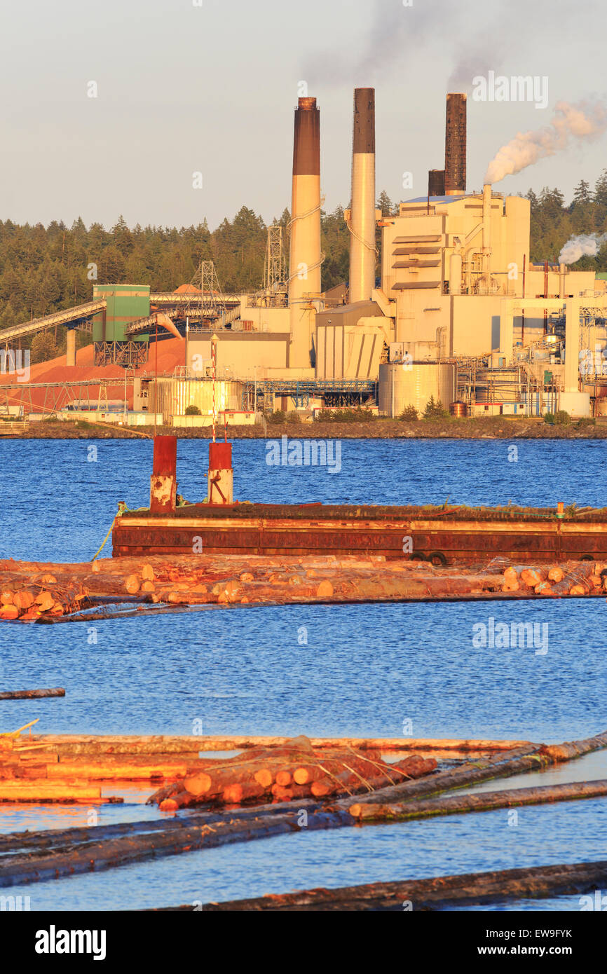 Logs paper mill hi-res stock photography and images - Alamy