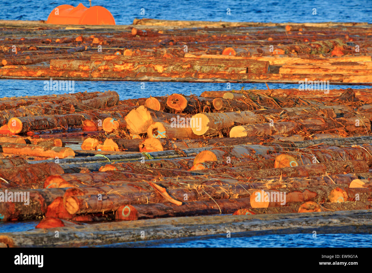 Log boom, vancouver island hi-res stock photography and images - Alamy