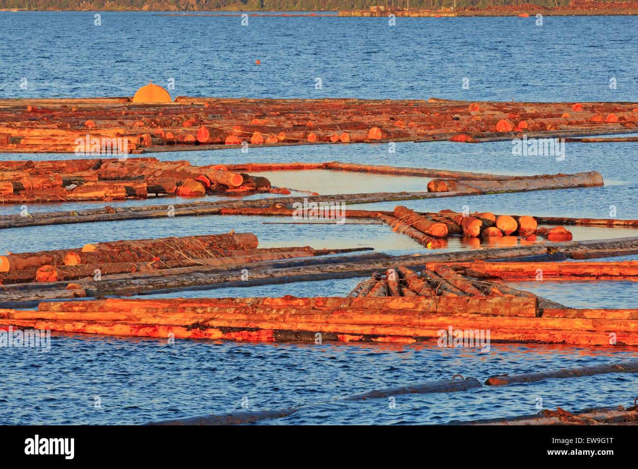 Boom of logs hi-res stock photography and images - Alamy