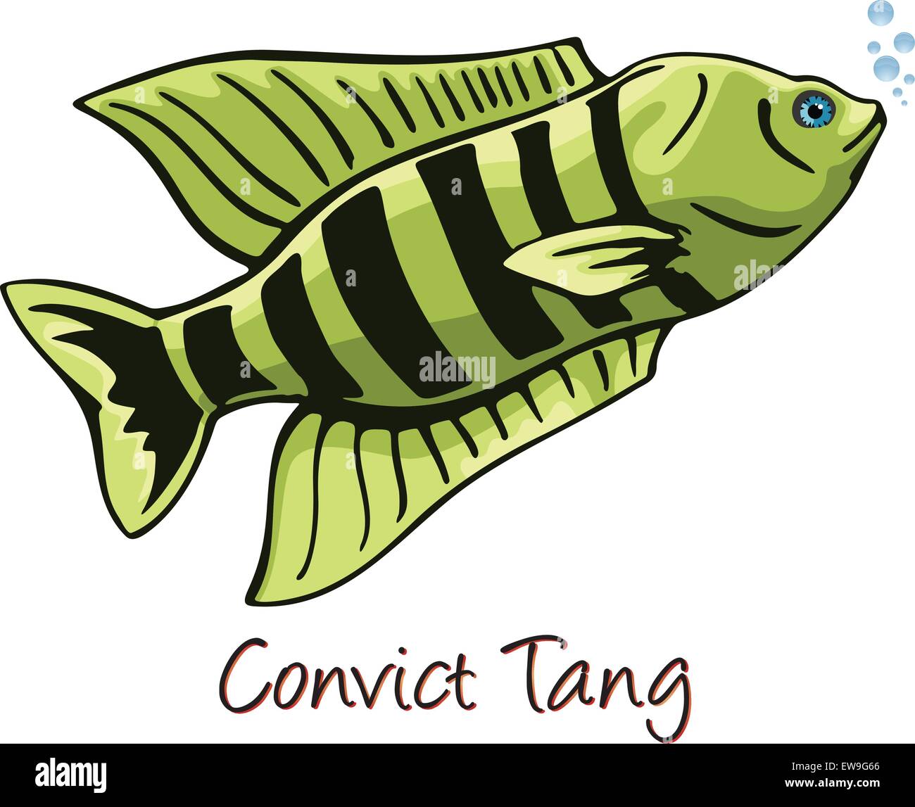 Convict fish Stock Vector Images - Alamy