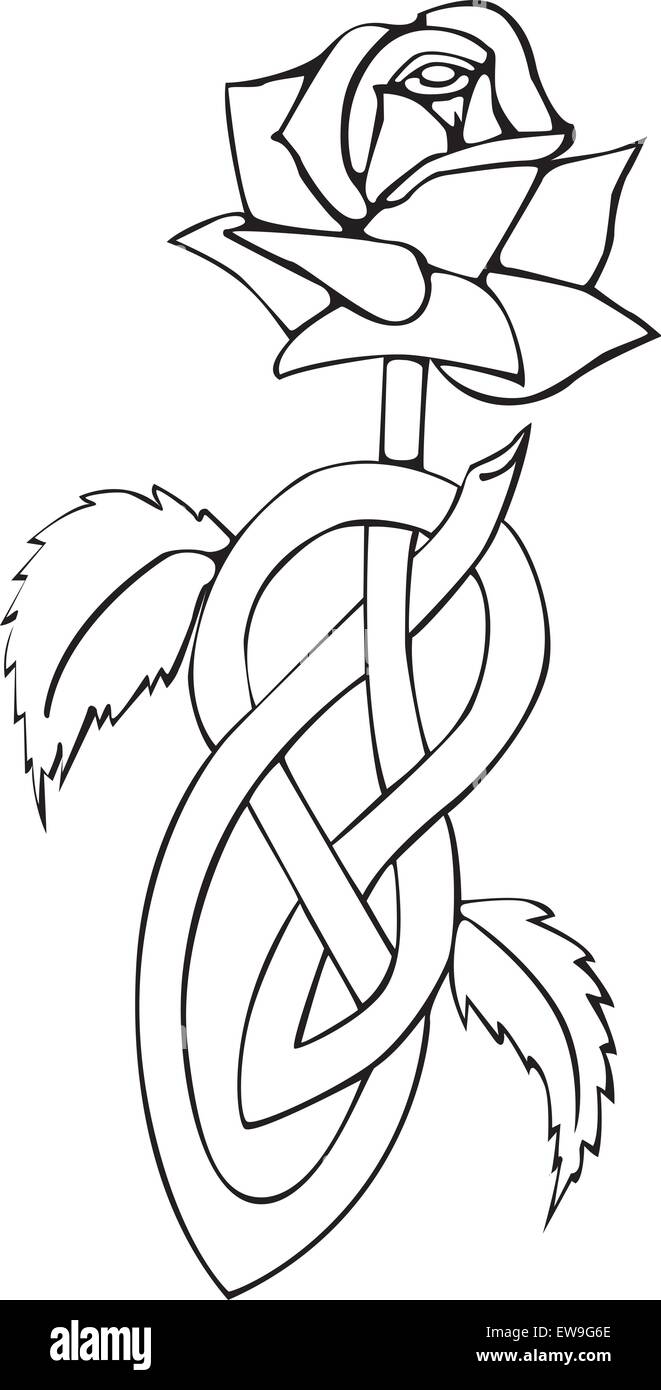 Celtic rose hi-res stock photography and images - Alamy