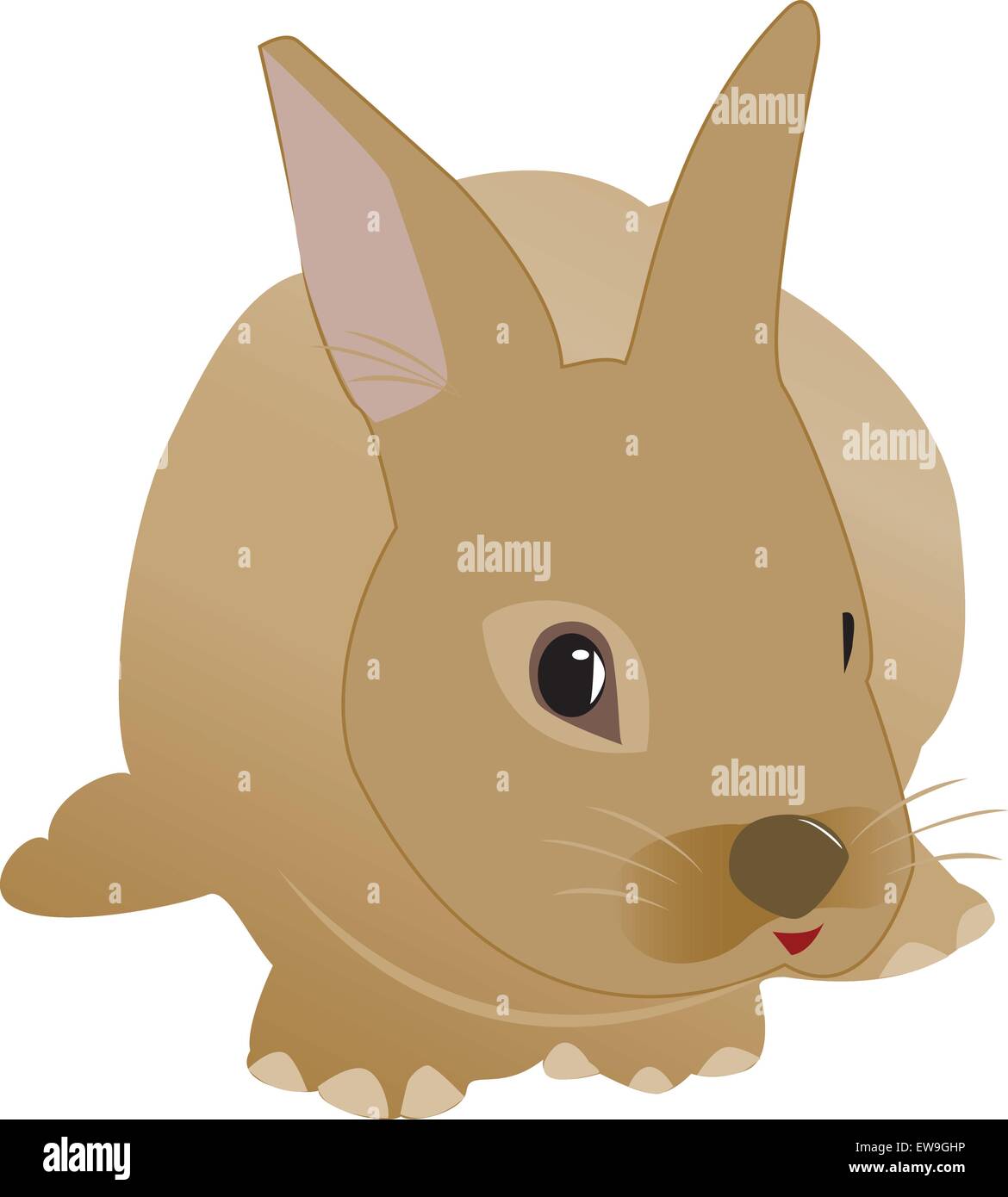 Highly details Stock Vector Images - Alamy