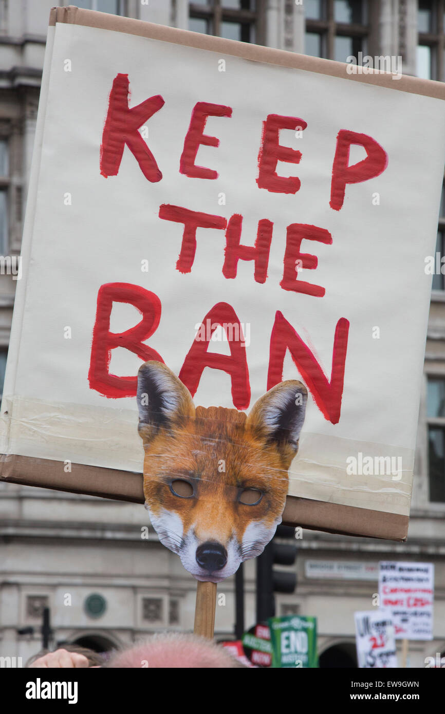 London, UK. 20 June 2015. A "Keep the Ban" on Fox Hunting banner ...