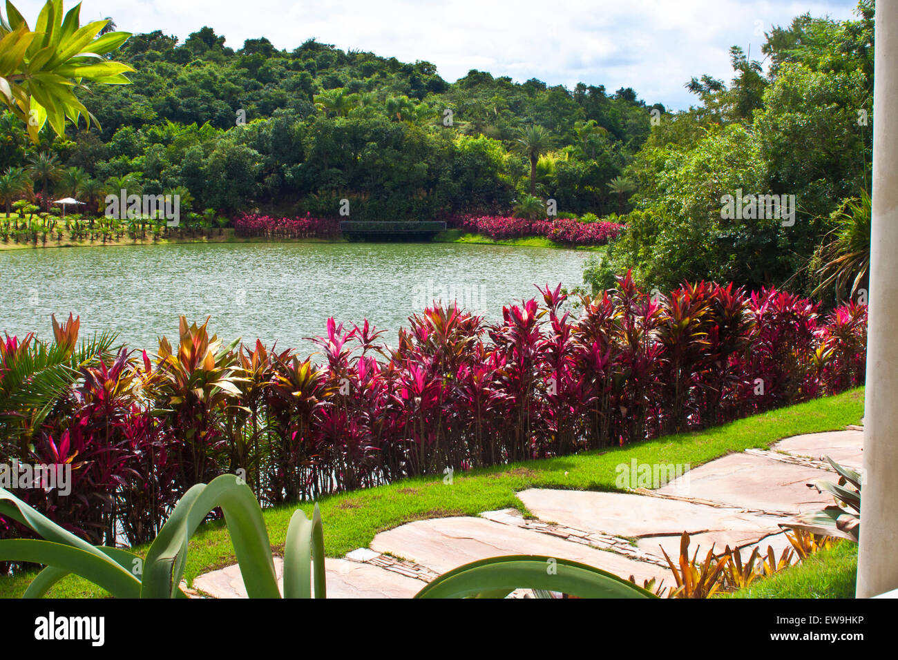 Inhotim Center Of Contemporary Art High Resolution Stock Photography ...
