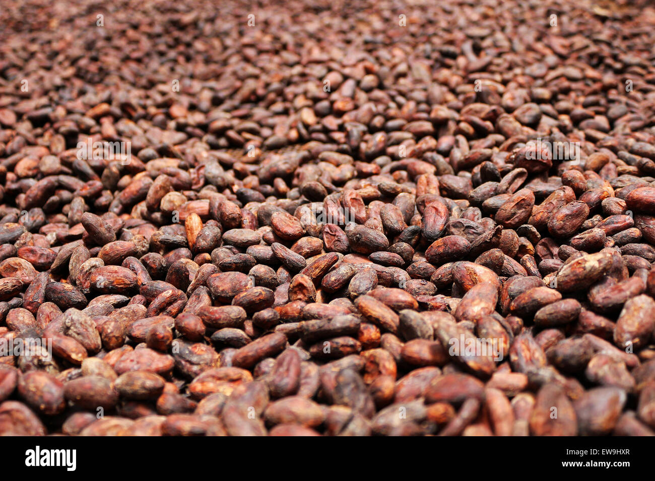 Beans close up hi-res stock photography and images - Alamy