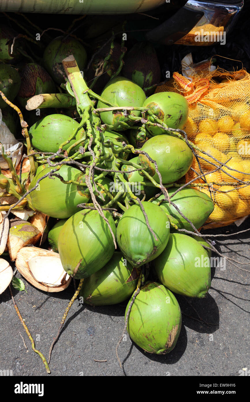 bunch of green coconuts Stock Photo - Alamy