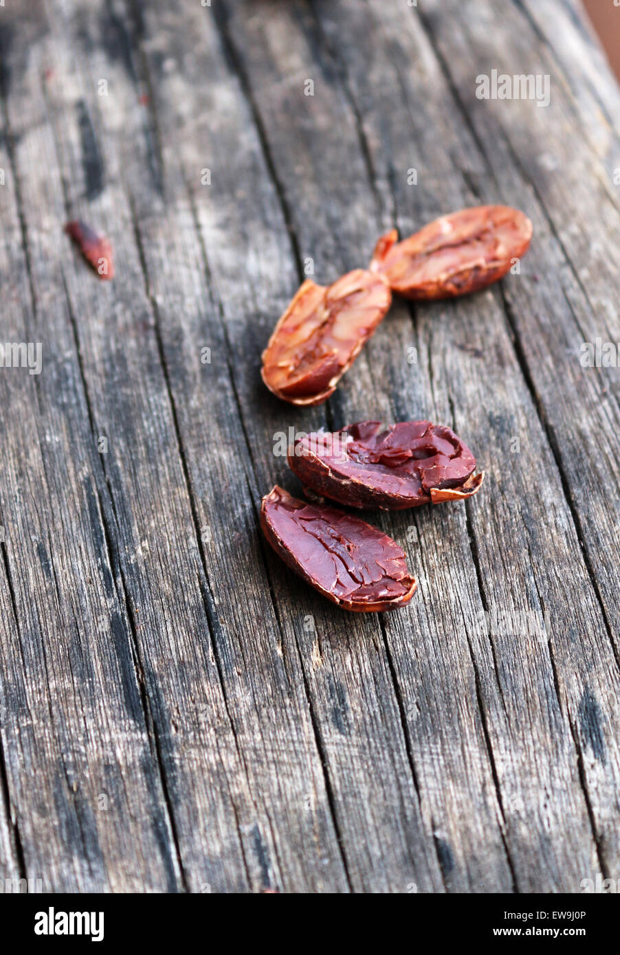 Cocoa beans on plant hi-res stock photography and images - Alamy