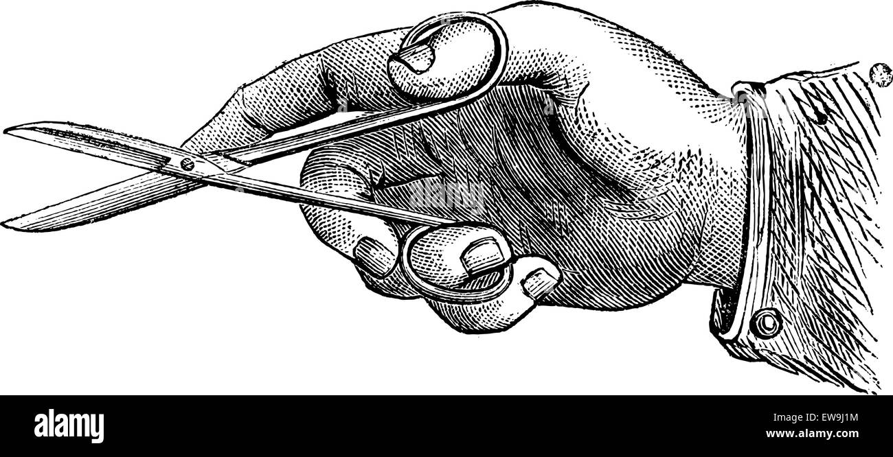 How to hold the scissors to make an incision, vintage engraved ...