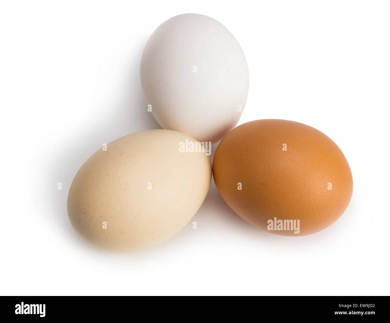 organic eggs of different colors isolated on white background Stock ...