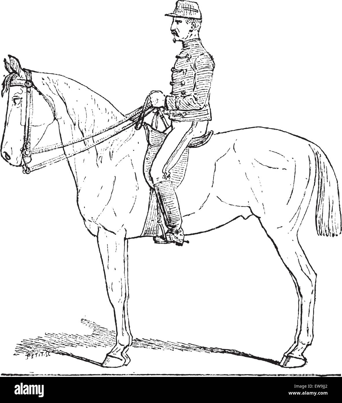 Position of the Cavalier, vintage engraved illustration. Dictionary of ...