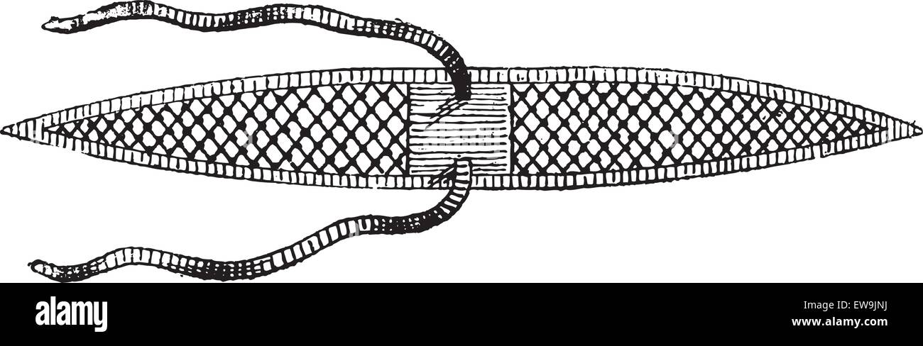 Racket, to walk on snow or Snowshoe, vintage engraved illustration ...